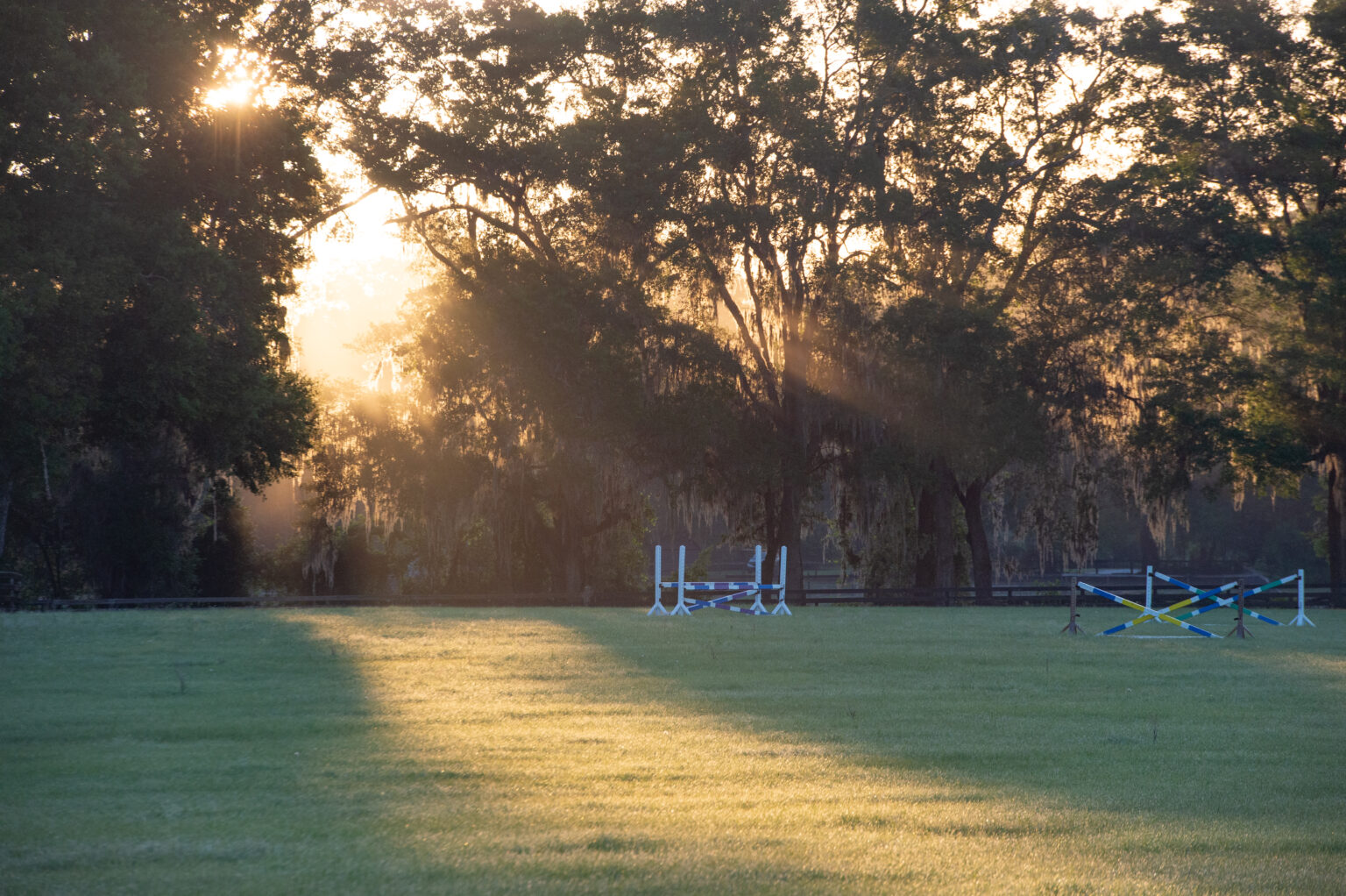 Diamond T Ranch Equine Quarantine offers premium care