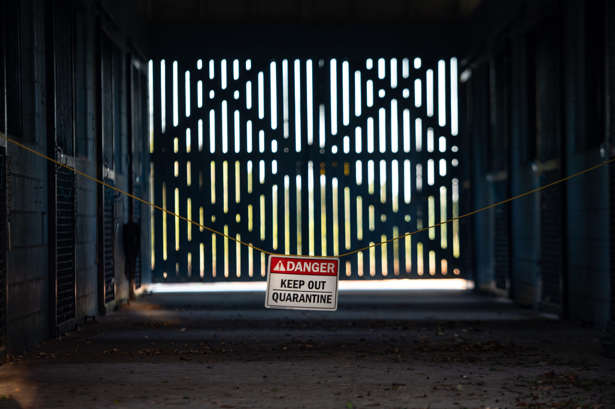 Diamond T Ranch Equine Quarantine offers premium care