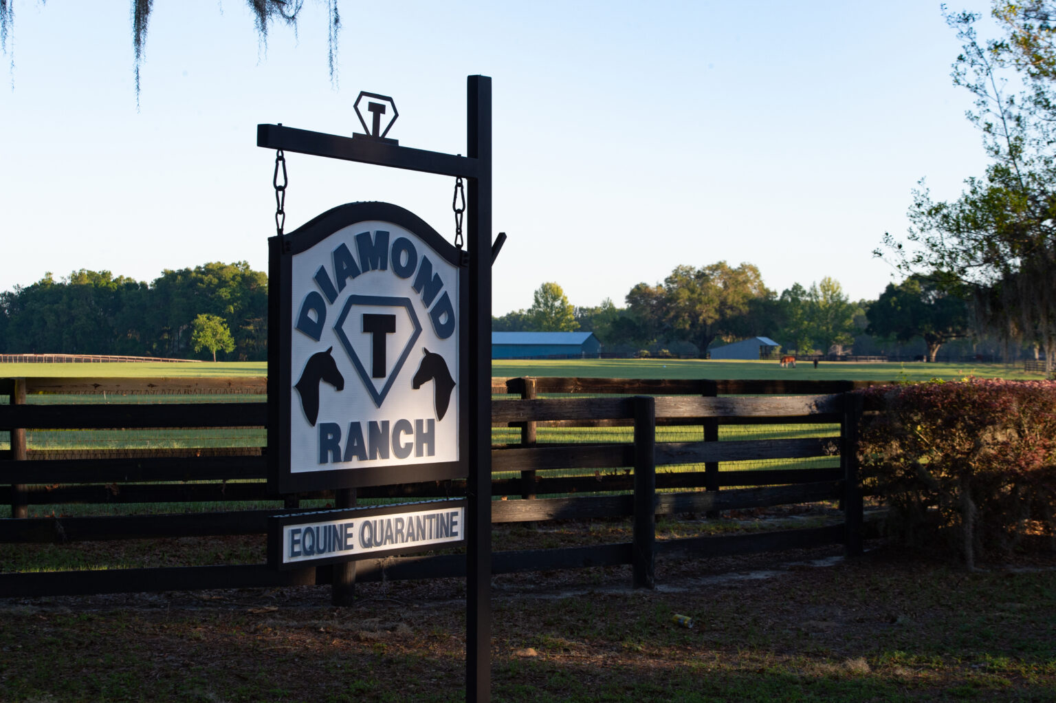 Diamond T Ranch Equine Quarantine offers premium care
