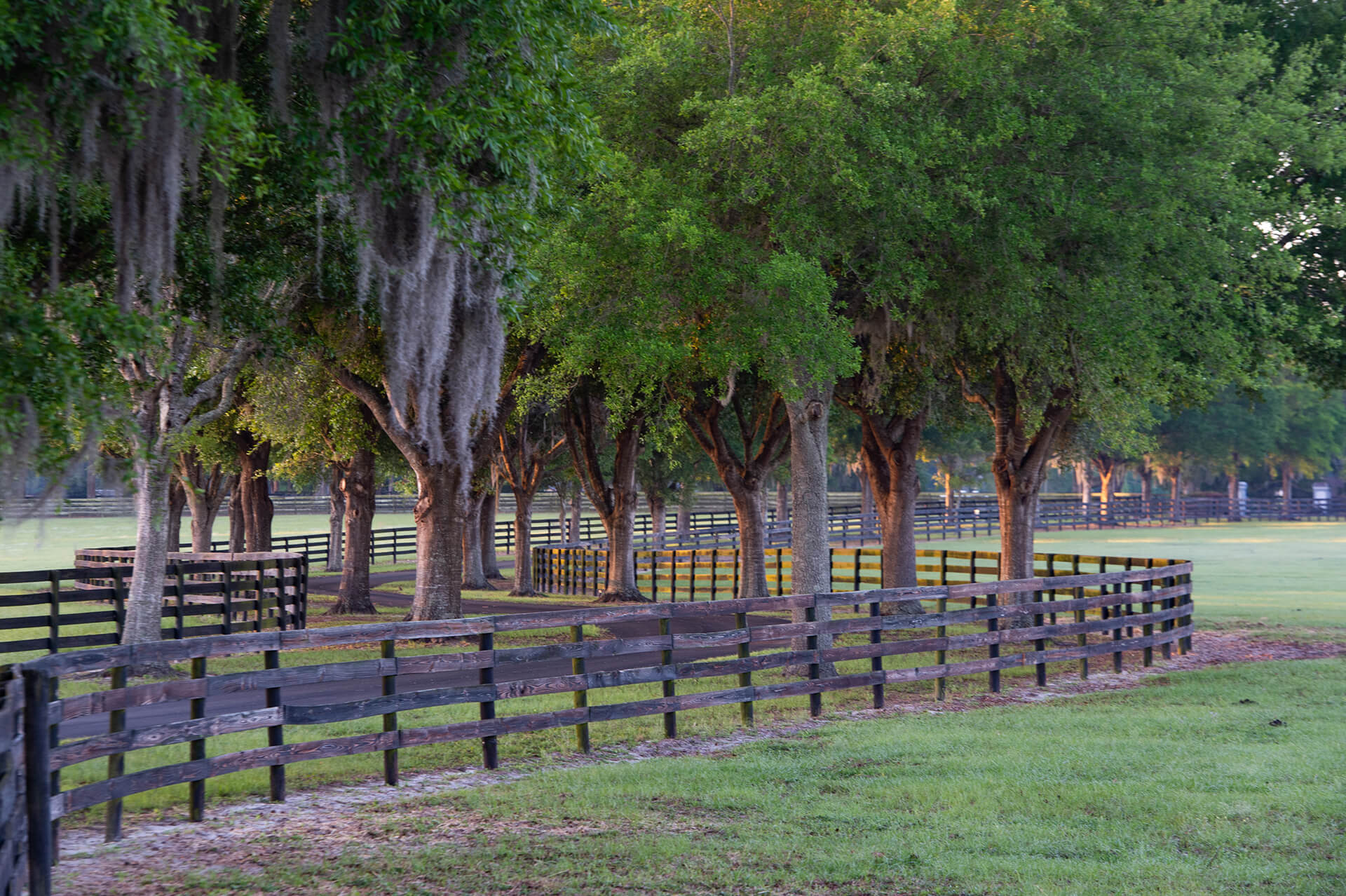 Diamond T Ranch Equine Quarantine - Contact Us