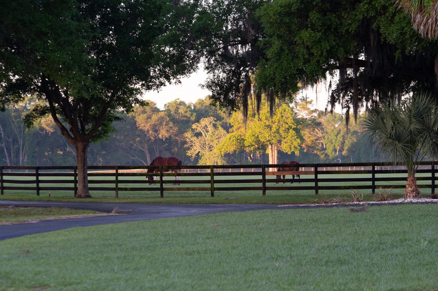 Diamond T Ranch Equine Quarantine offers premium care